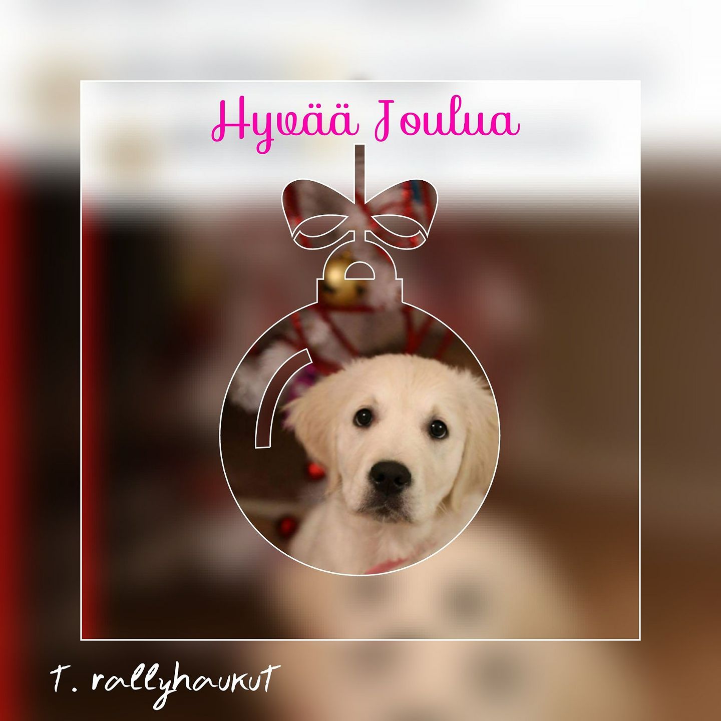 Hyvää Joulua – Rallyhaukut